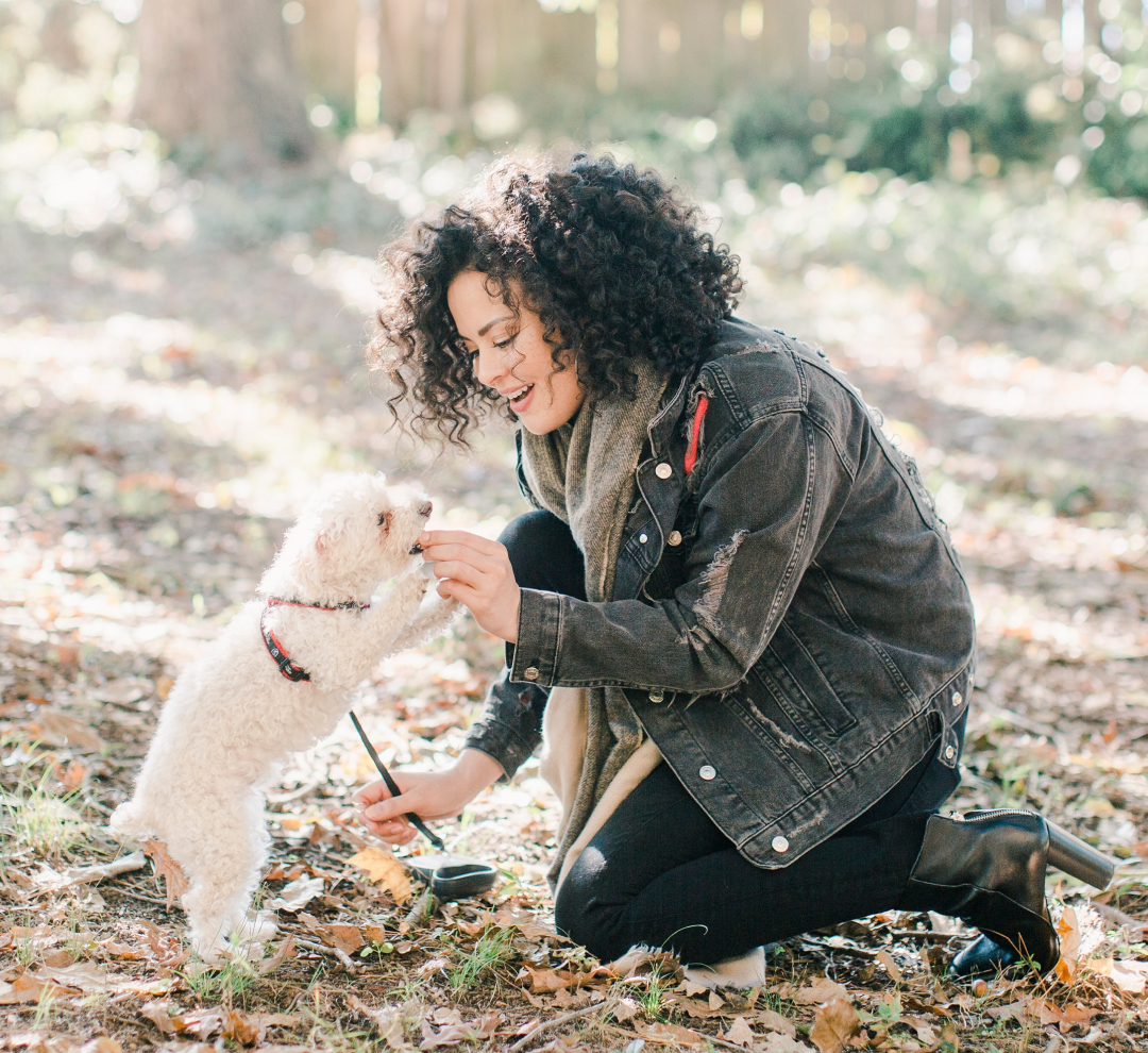 The Emotional Journey: 3 Stories of Hope and Resilience from Dog Owners ...