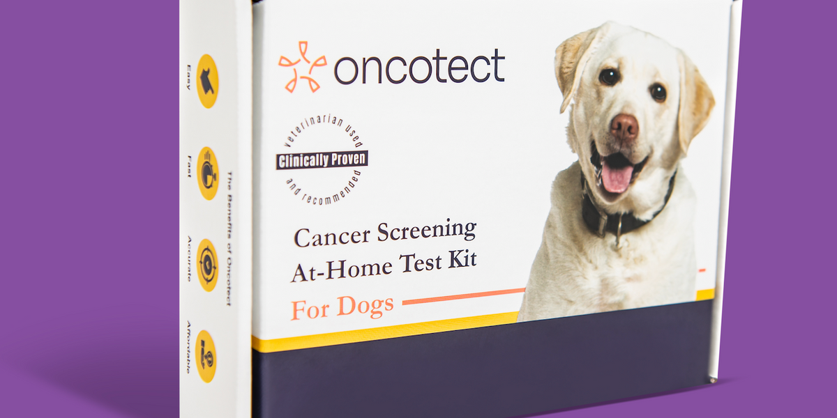 At-Home Dog Cancer Screening Test by Oncotect, Fast & Accurate Results ...