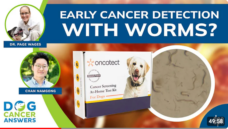 For Veterinarians | Oncotect Cancer Screening Test for Dogs | Oncotect