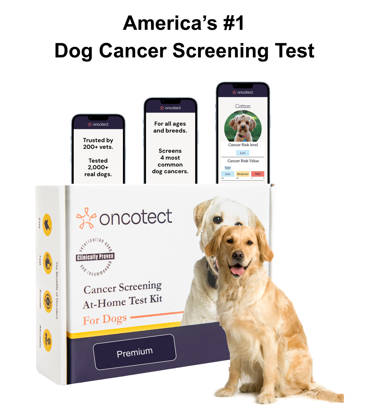 At-Home Dog Cancer Screening Test by Oncotect, Fast & Accurate Results ...